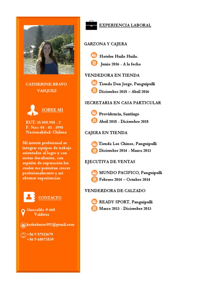 CV Cathy Bravo | PDF | Informática | Informática y tecnología de la ...