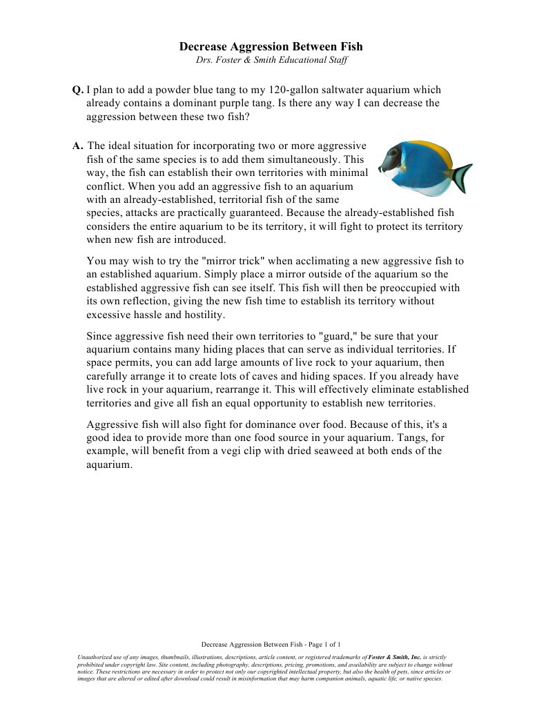 Decrease Aggression Between Fish | PDF | Aquarium | Fish