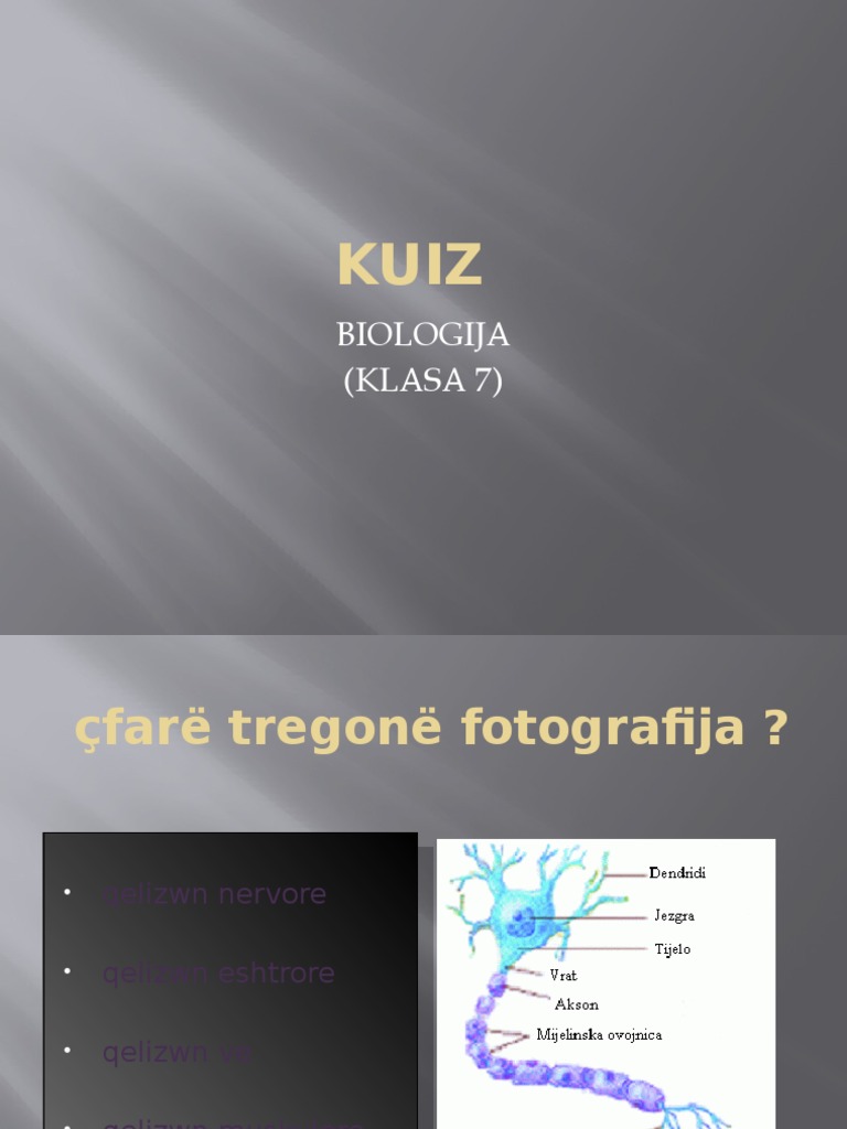 Kuizi 7 Biologji | PDF