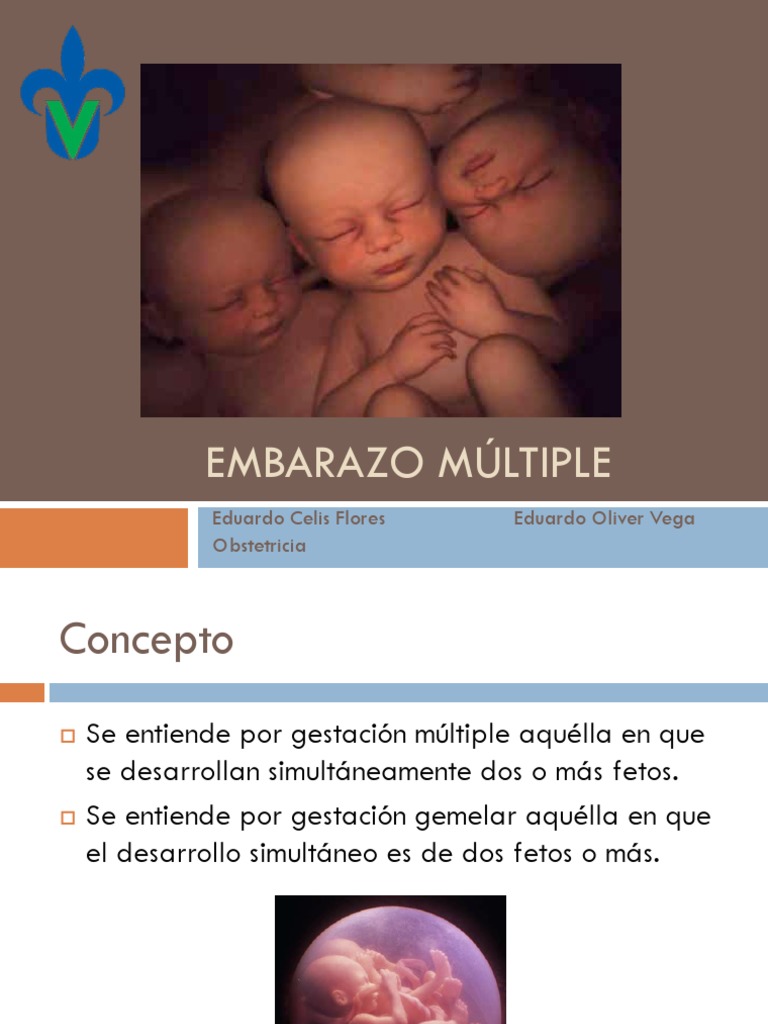 Embarazo Multiple | PDF | Nacimientos Múltiples | El embarazo