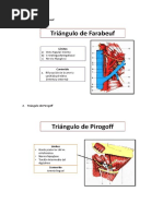 Términos de Relación, Comparación y Lateralidad de Anatomía | PDF ...