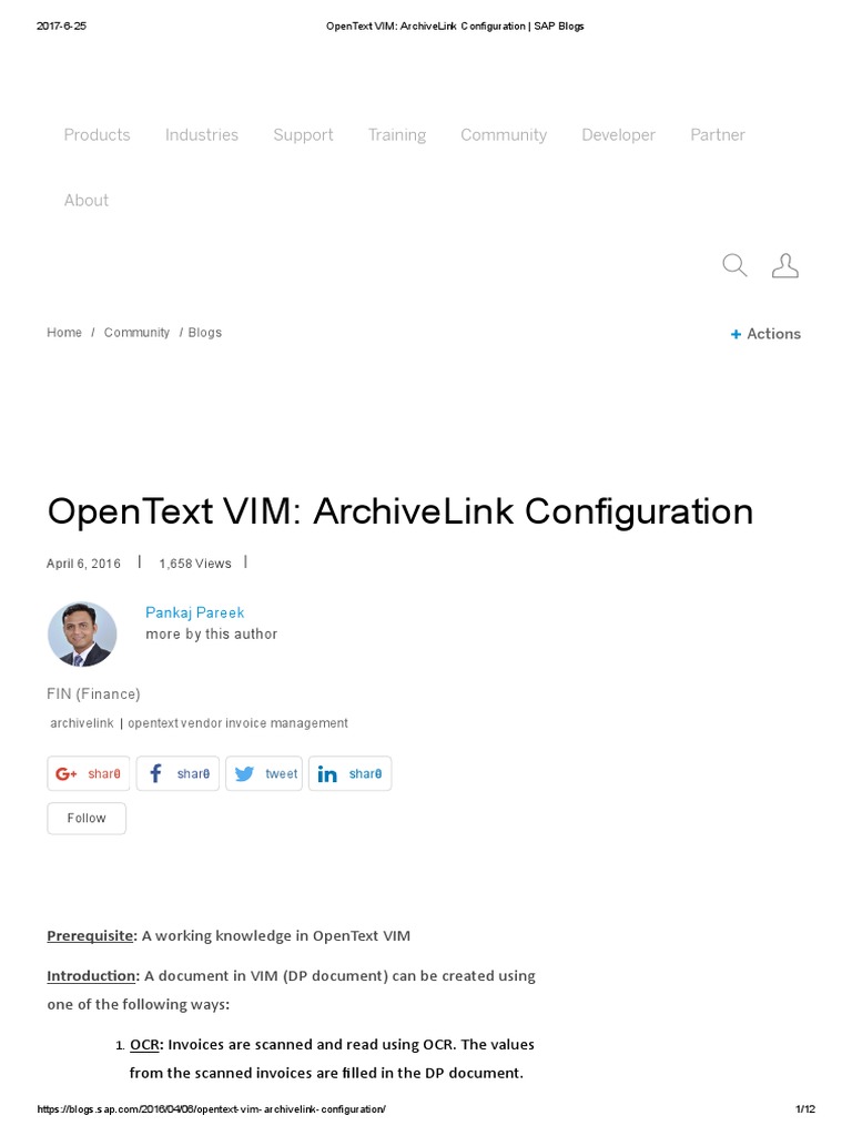 OpenText VIM - ArchiveLink Configuration - SAP Blogs | PDF | Optical ...