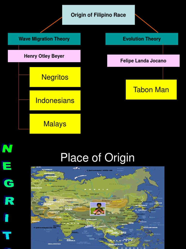 Migration Theory | PDF