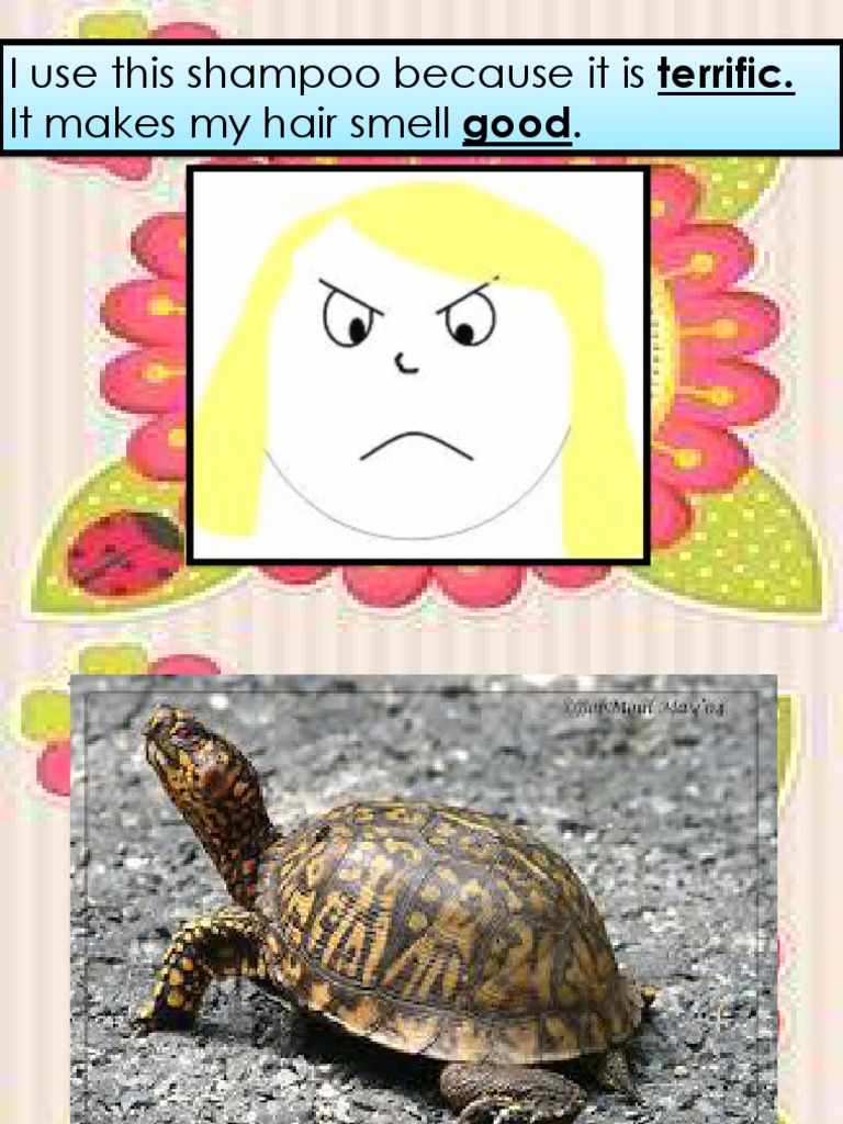 Toto The Turtle Wid Other | PDF | Subtraction | Numbers