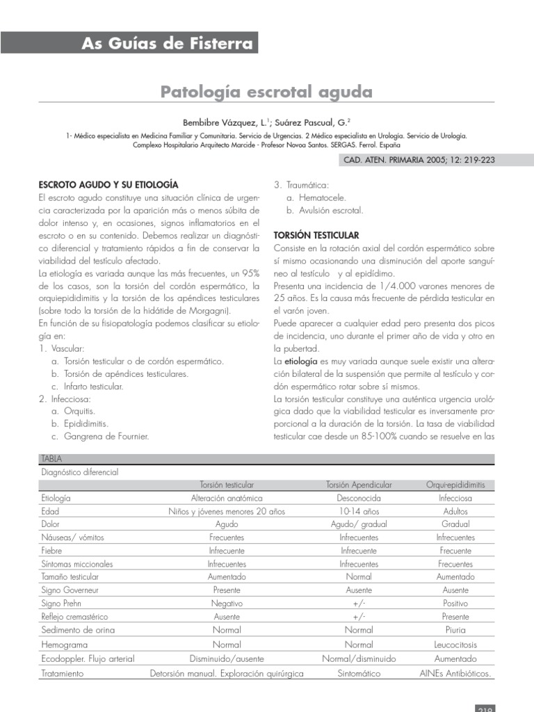 Escroto Agudo | PDF | Testículo | Ciencias de la Salud