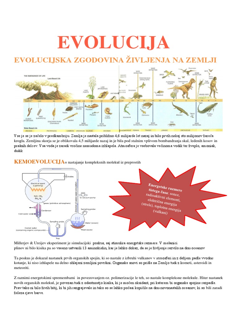 EVOLUCIJA | PDF