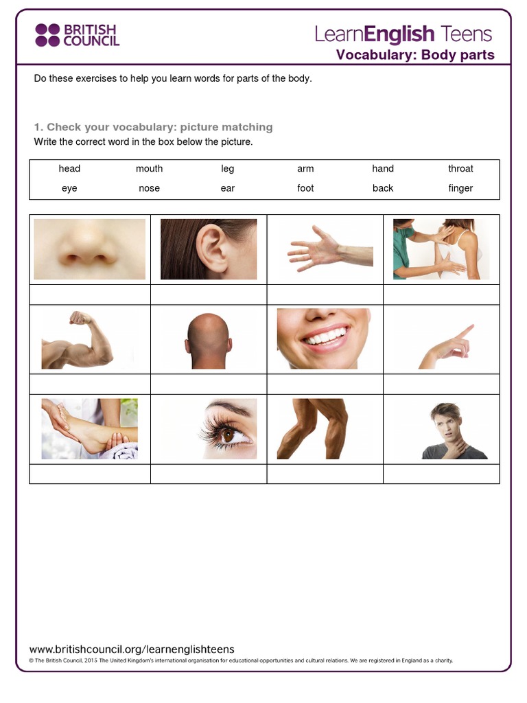 Body Parts - Exercises PDF | PDF