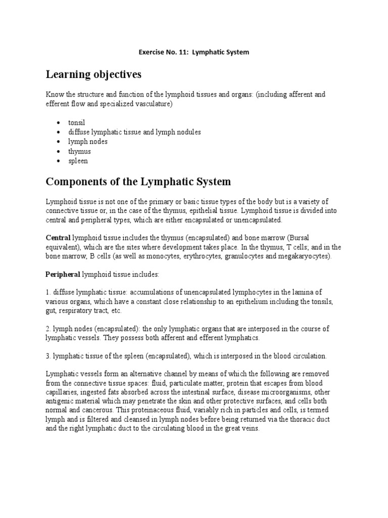 Laboratory Exercise Lymphatics Pdf Lymphatic System Lymph Node