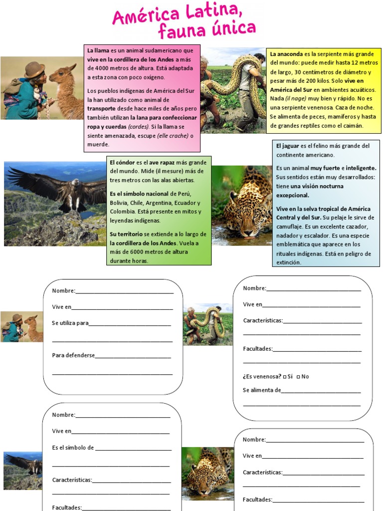 Animales America | PDF | Américas | América del Sur