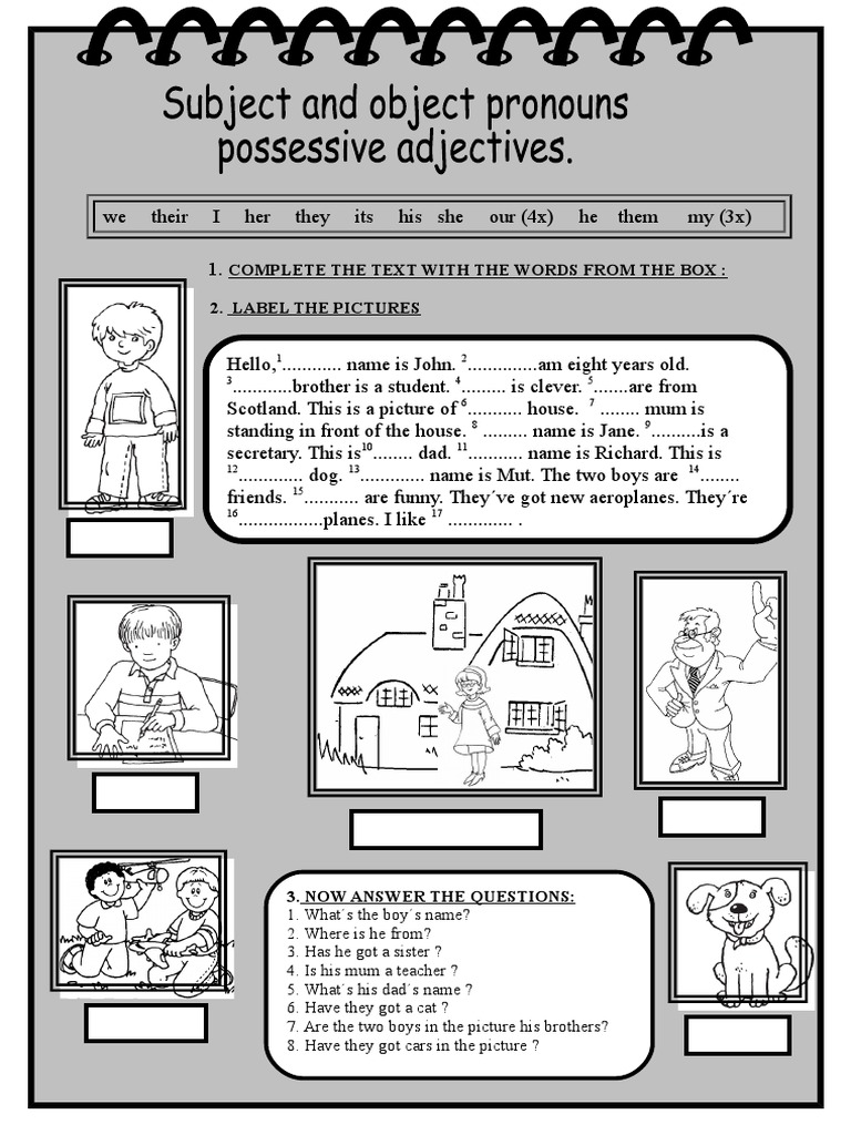 Pronouns and Possessive Adjectives | PDF