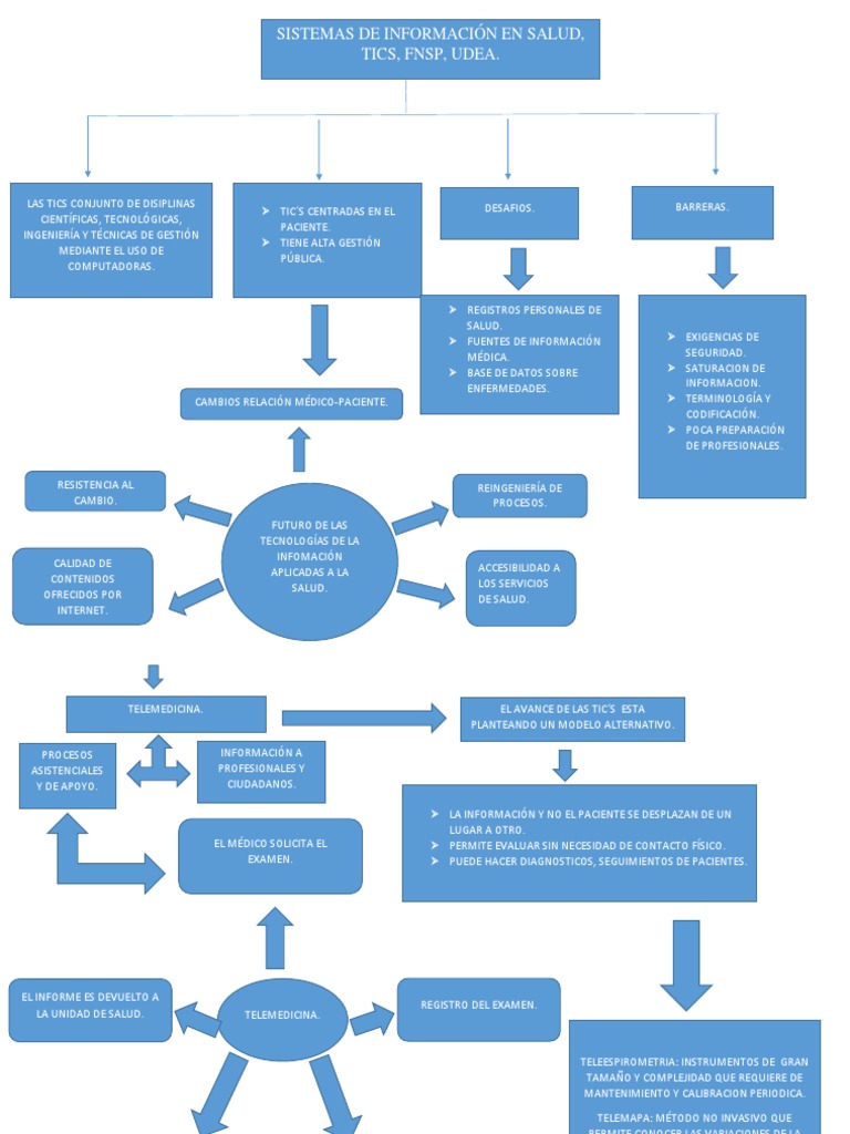 Mapa Conceptual de Sistemas de Información en Salud | PDF