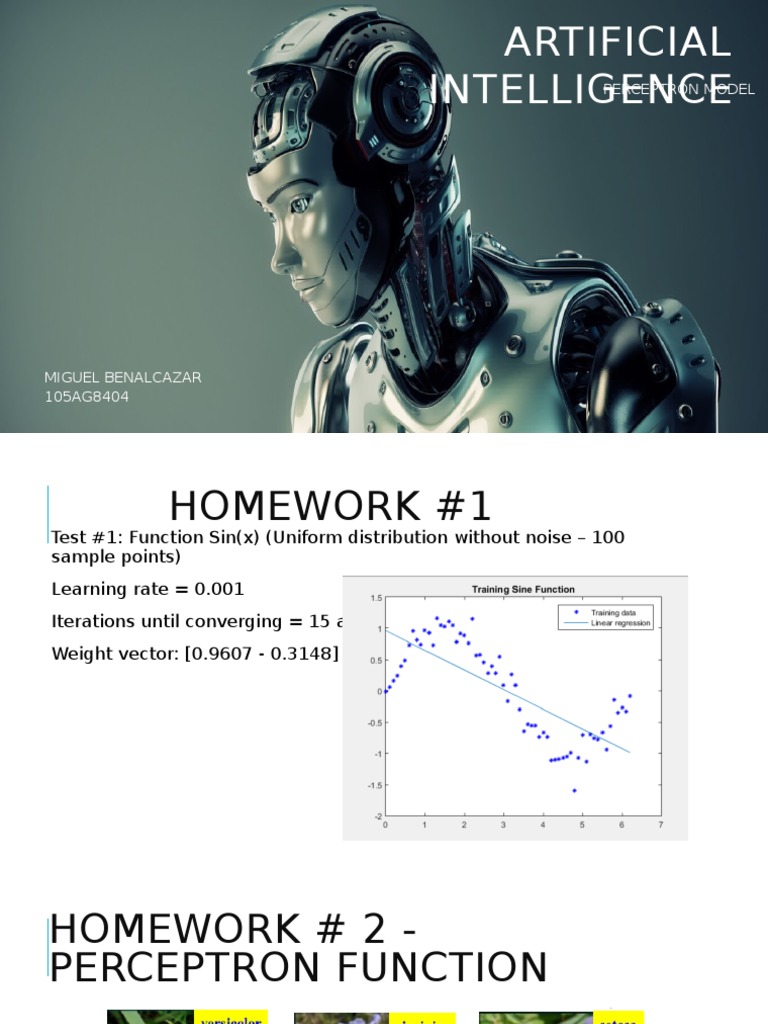 Perceptron Model Analysis and Examples | PDF | Teaching Methods & Materials