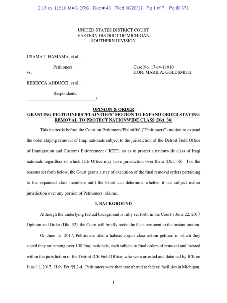 Court Order US Iraqi Nationals | PDF | Habeas Corpus | Complaint