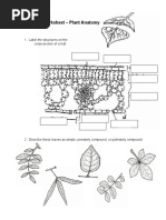 Parts of A Tree Worksheet | PDF