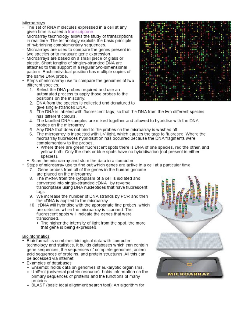Transcriptone | Download Free PDF | Dna Microarray | Gene