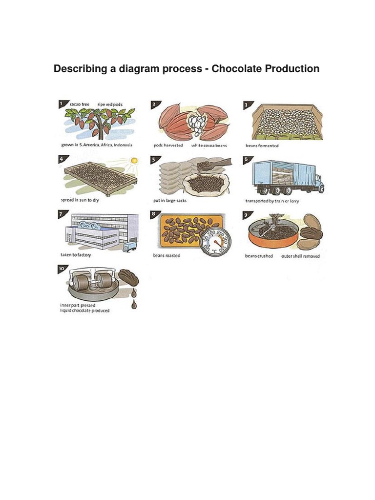 Describing A Diagram Process-Chocolate | PDF