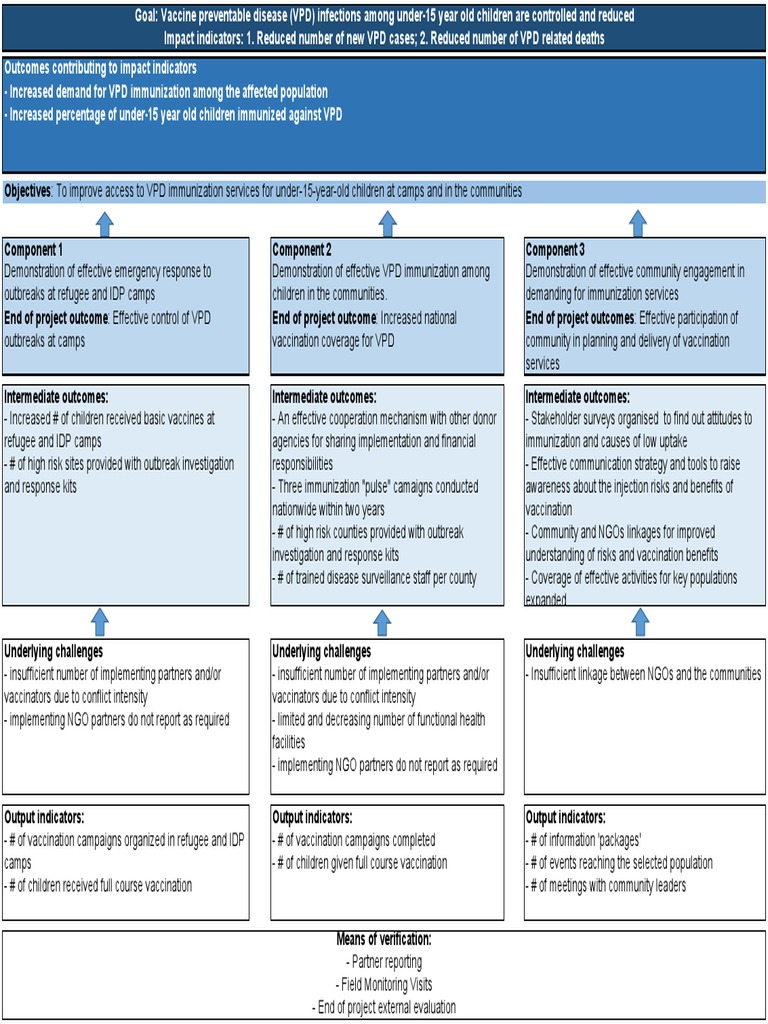 Theory of Change | PDF | Non Governmental Organization | Vaccination