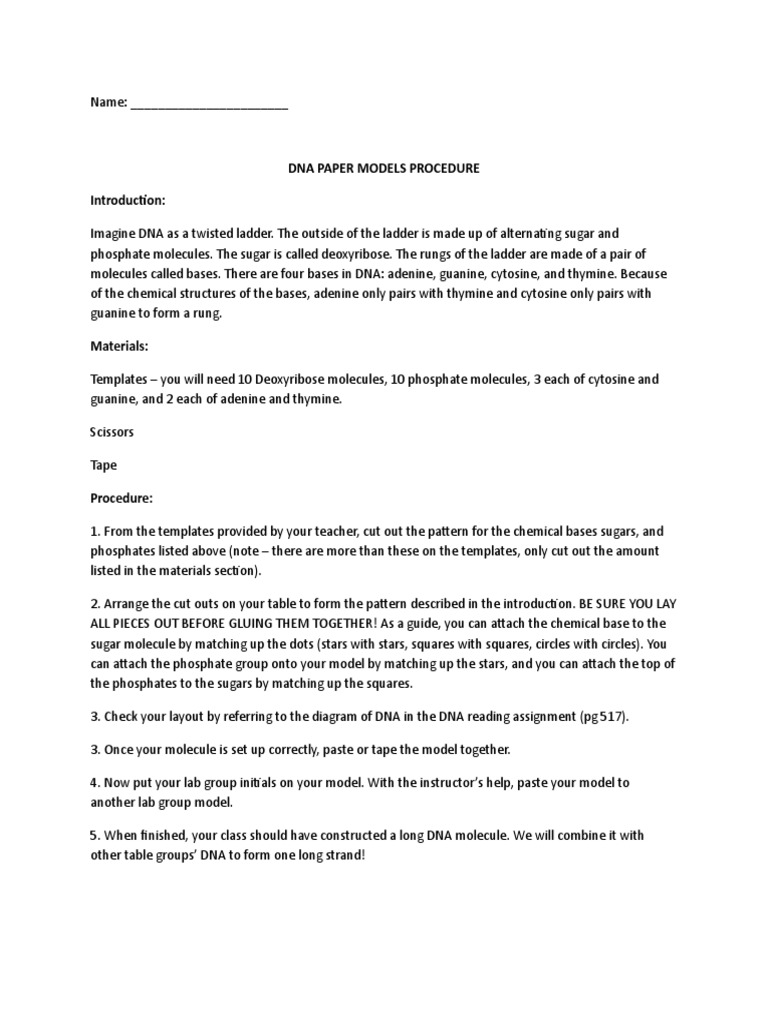 DNA Model Activity Instructions | PDF | Dna | Nucleotides