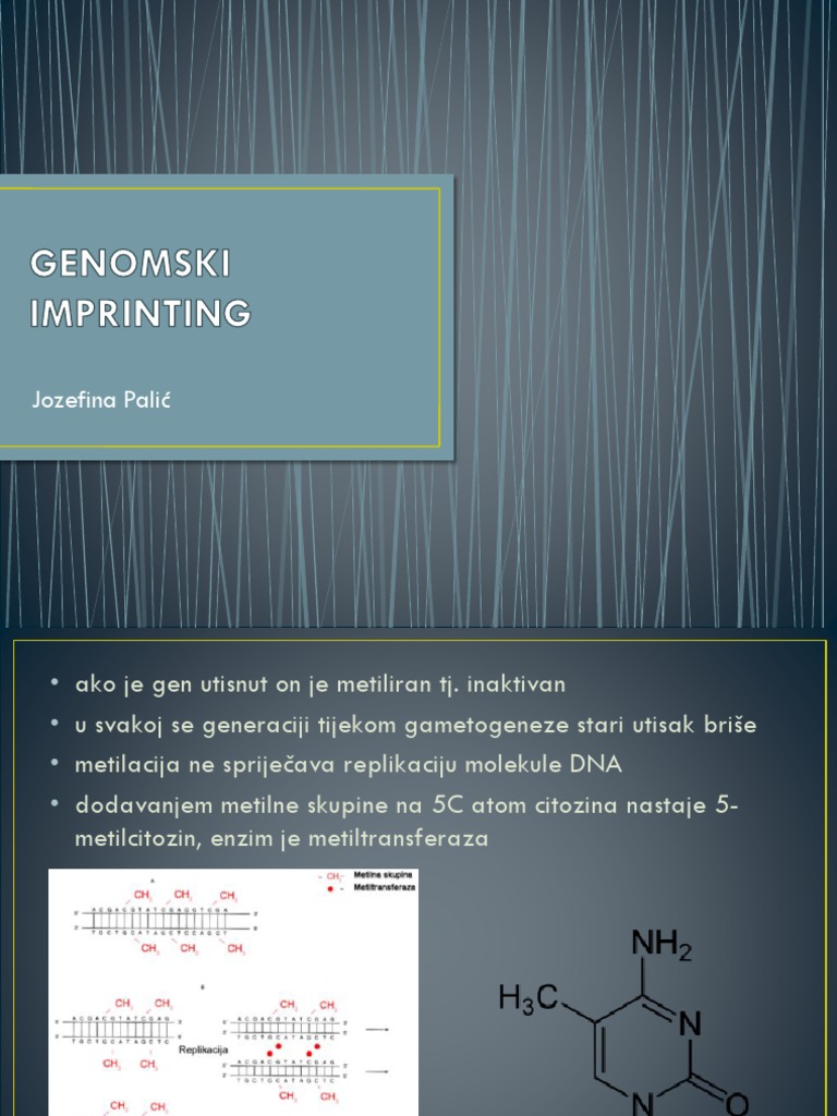 Genomski Imprinting | PDF