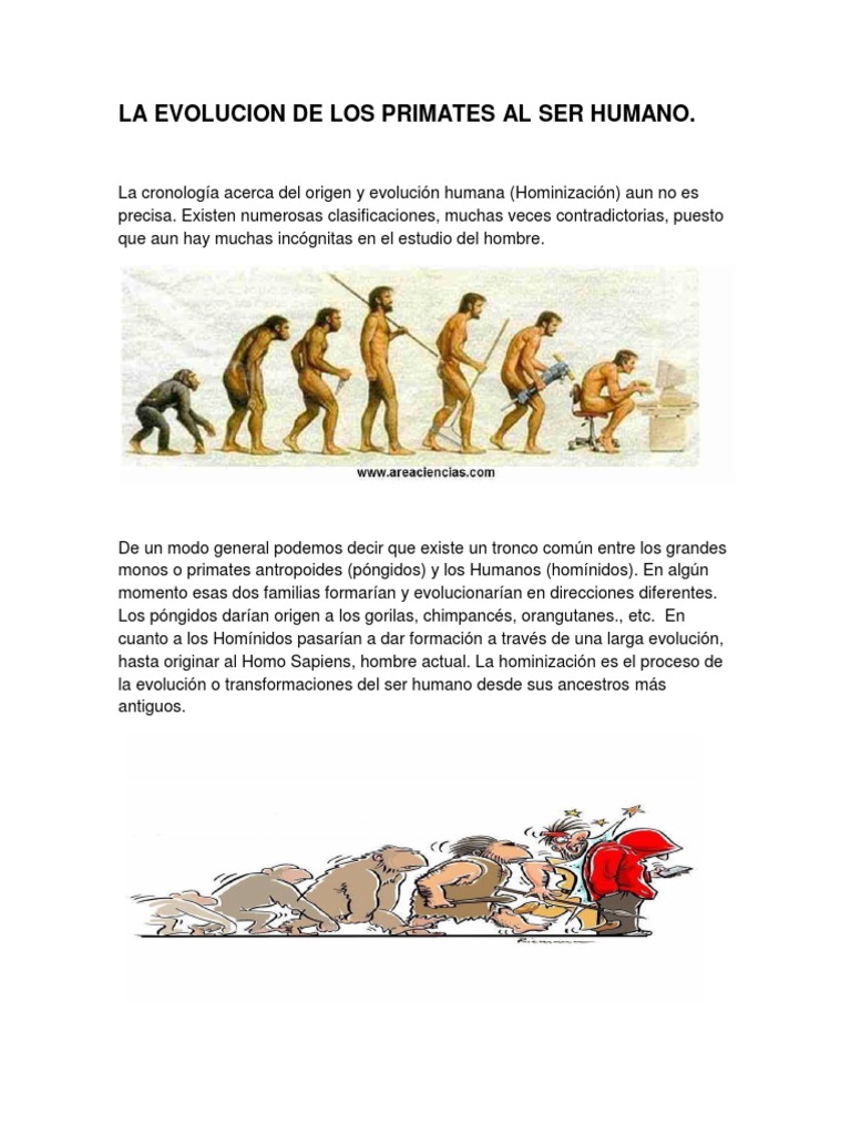 La Evolucion de Los Primates Al Ser Humano | PDF | Homo | Evolución humana