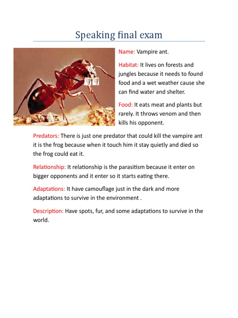 Speaking Final Exam: Name: Habitat | PDF
