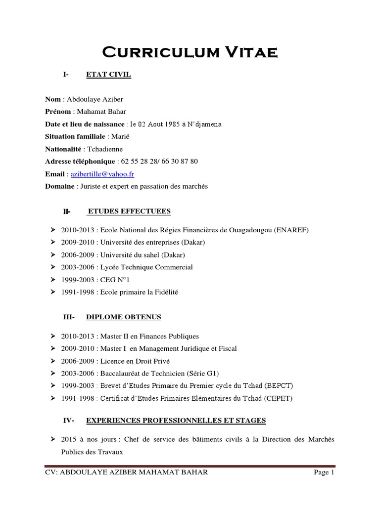 Curriculum Vitae | PDF | Microsoft Windows | Informatique