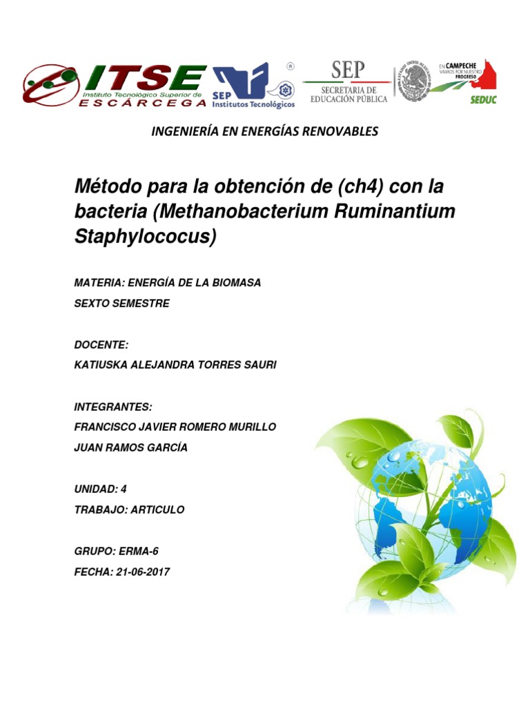 Methanobacterium Ruminantium