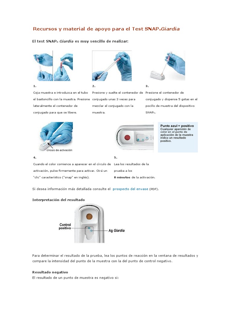 Recursos y Material de Apoyo para El Test SNAP | PDF