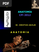 (Anatomía) Triángulos de Pirogoff y Béclard | PDF | Medicina CLINICA ...