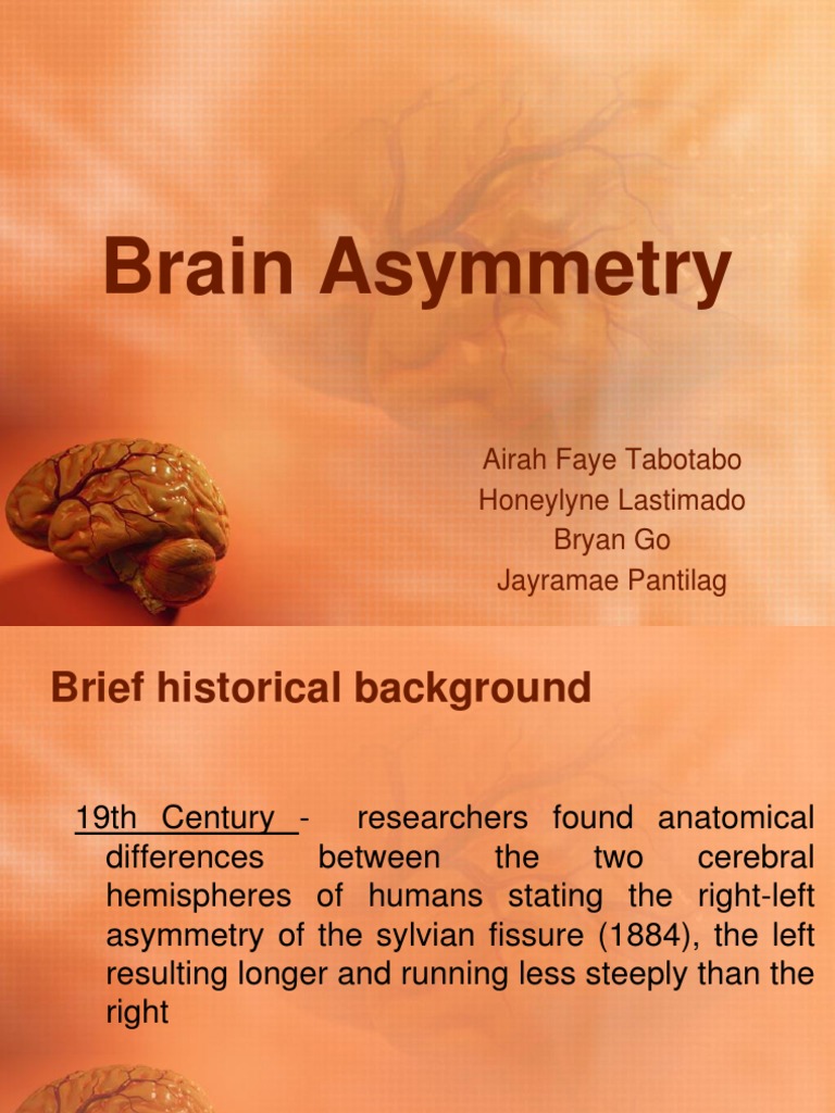 Brain Asymmetry Pdf Lateralization Of Brain Function Cerebral