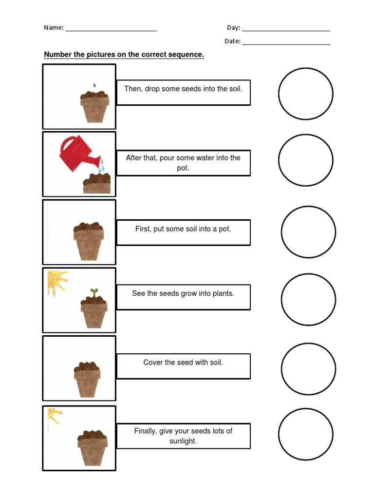 Number The Pictures On The Correct Sequence | PDF