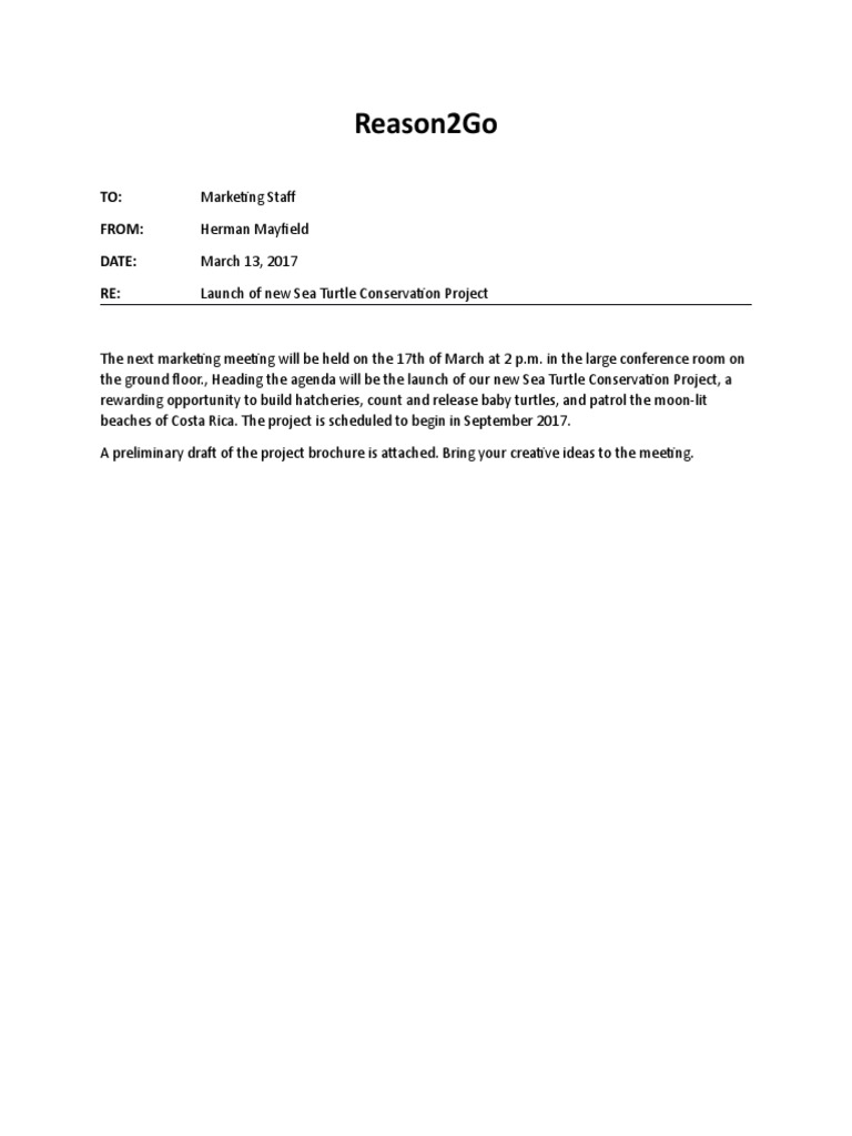 WD 1-Sea Turtle Memo Hermanmayfield | PDF