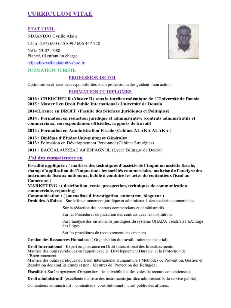 CV Cyrille | PDF | Commercialisation | Business