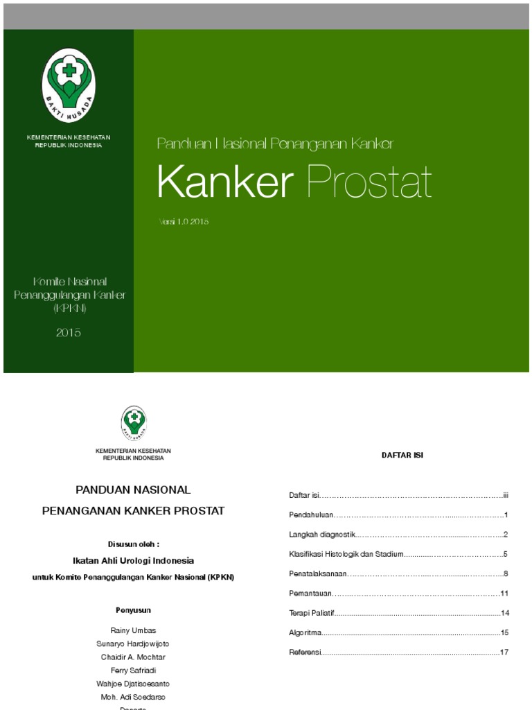 Kanker Prostat Kemenkes RI PDF | PDF