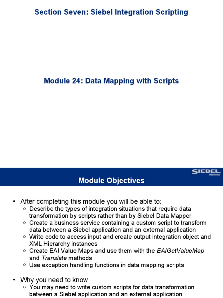 Section Seven Siebel Integration Scripting Pdf Application