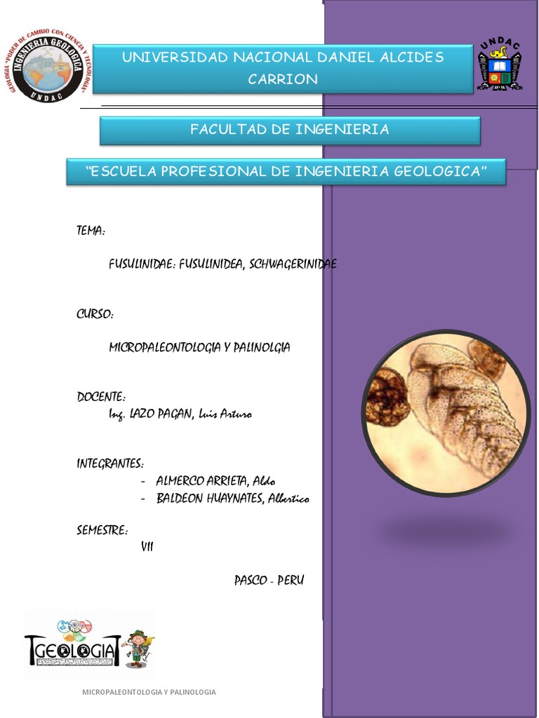 Fusulinidae Fusulinidea, Schwagerinidae | PDF | Organismos | Science