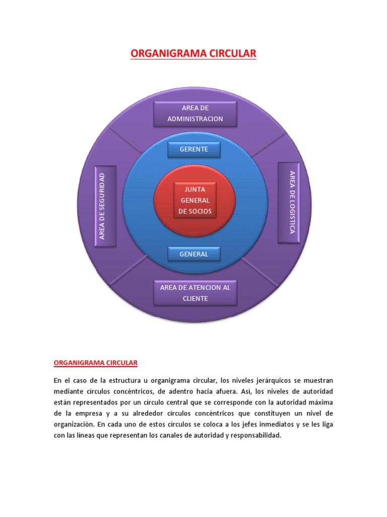 Organigrama Circular Mejorado | PDF | Finanzas y dinero