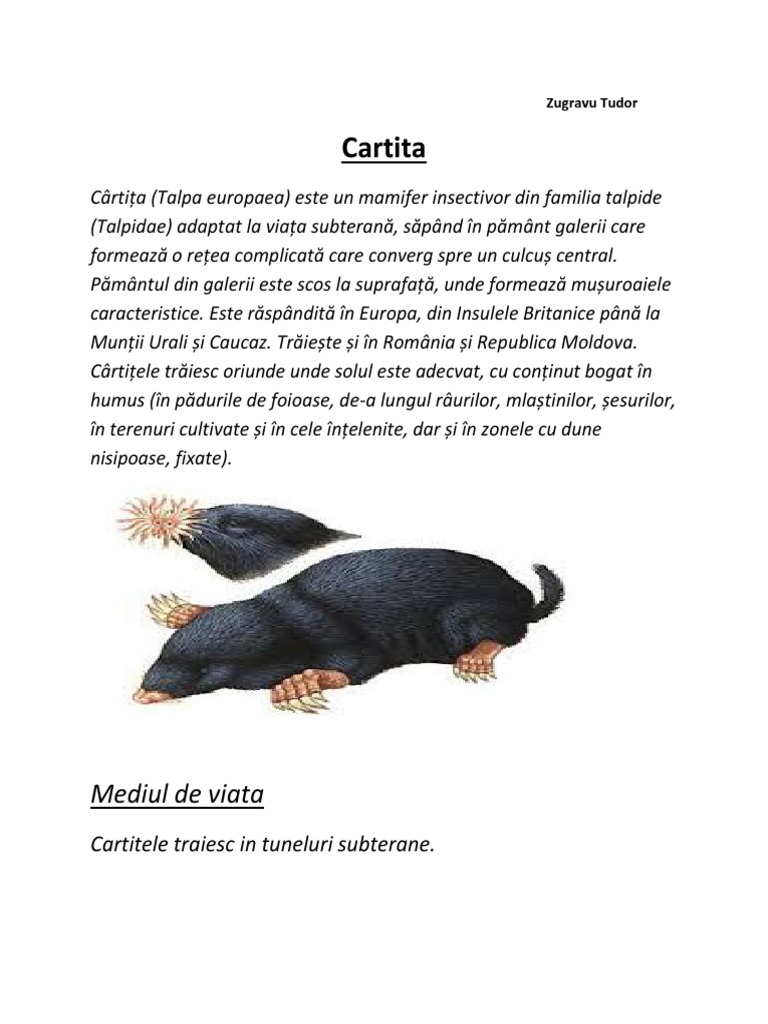 Proiect Cartita | PDF