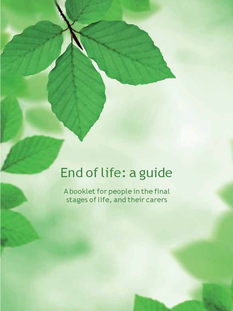 End of Life Guide | PDF | Palliative Care | Caregiver