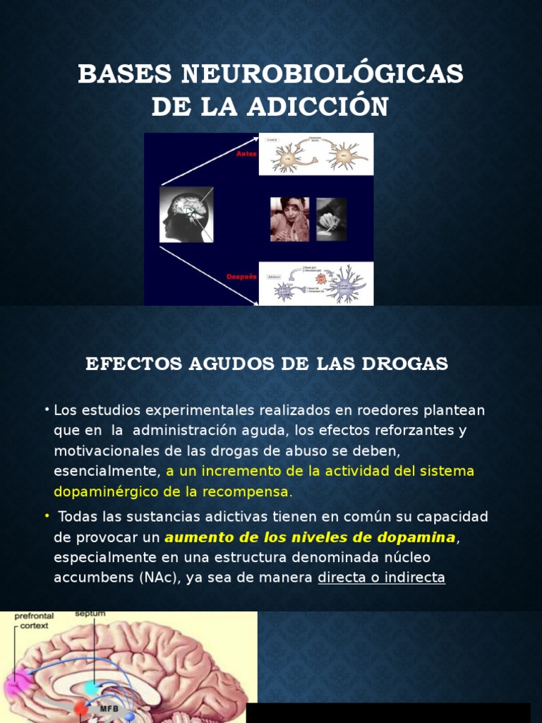 Bases Neurobiológicas de La Adicción | PDF | Dopamina | Drogas