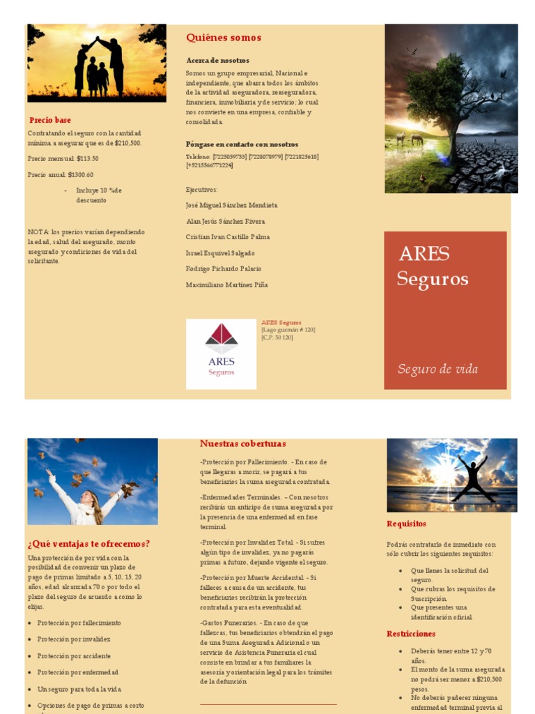 Triptico seguro de vida | Seguro de vida | Seguro
