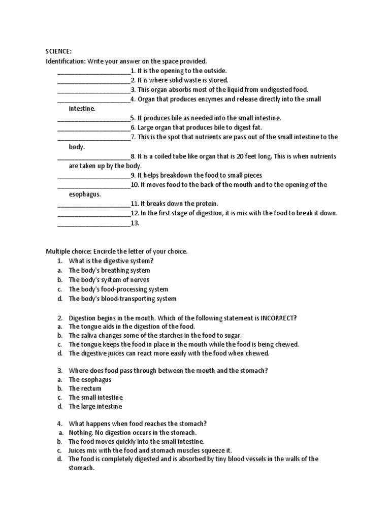 SCIENCE 3rd Quarter Grade 7 | PDF | Human Digestive System | Digestion