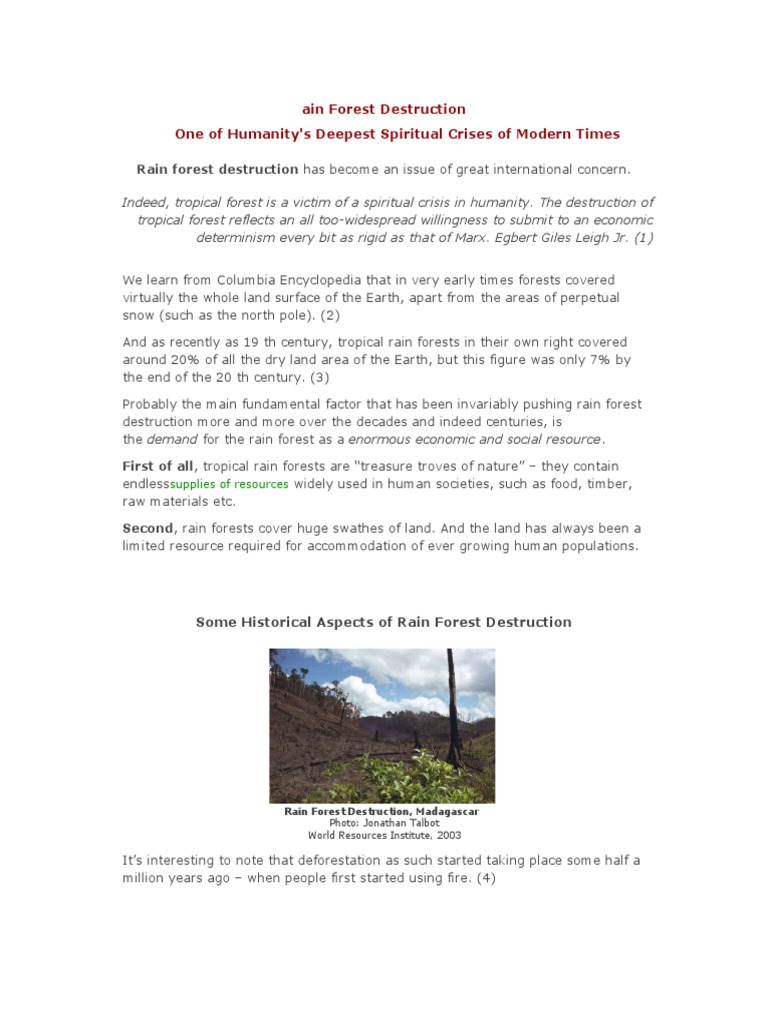 Forest Wealth | PDF | Deforestation | Fossil Fuels