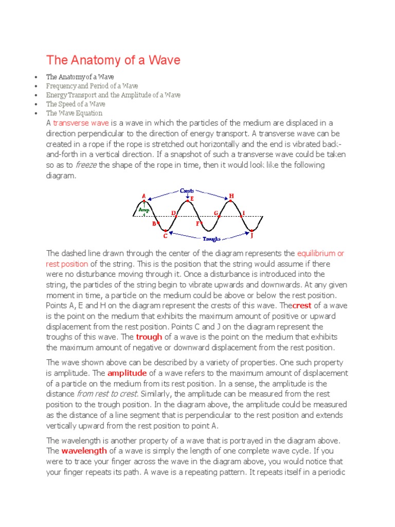 The Anatomy of A Wave | PDF | Waves | Wavelength