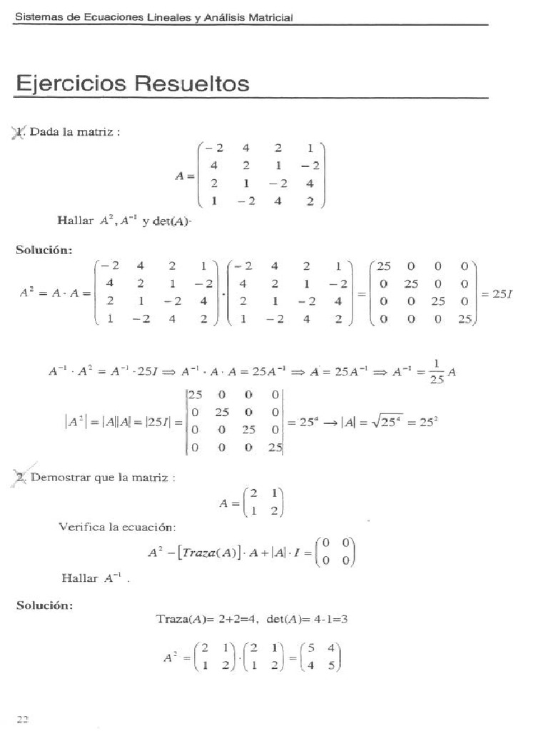 Ejercicios Resueltos Álgebra Lineal