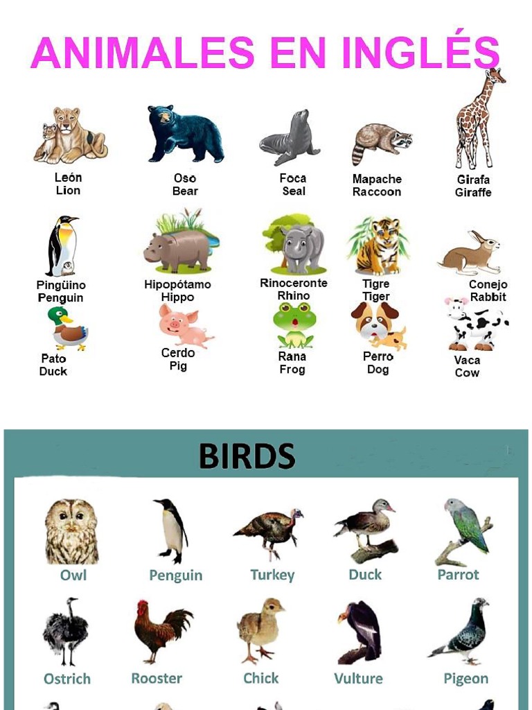 Animales Ingles y Español Con Imagenes | PDF