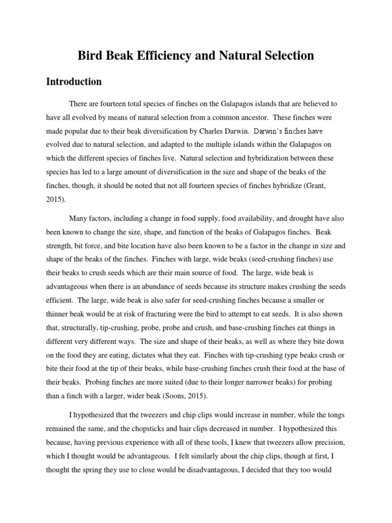 natural selection lab report e-portfolio assignment revised ...