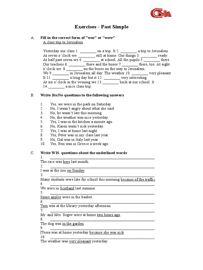 Simple Past Exercises Handout | PDF