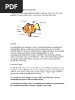 Tipos y funciones de las aletas en peces | PDF | Pescado | Vertebrados ...