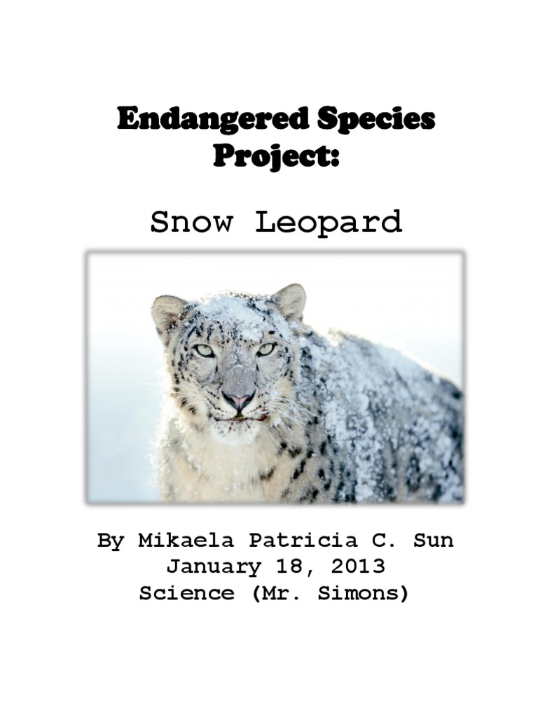 Snow Leopard Conservation Guide | PDF | Panthera | Leopard